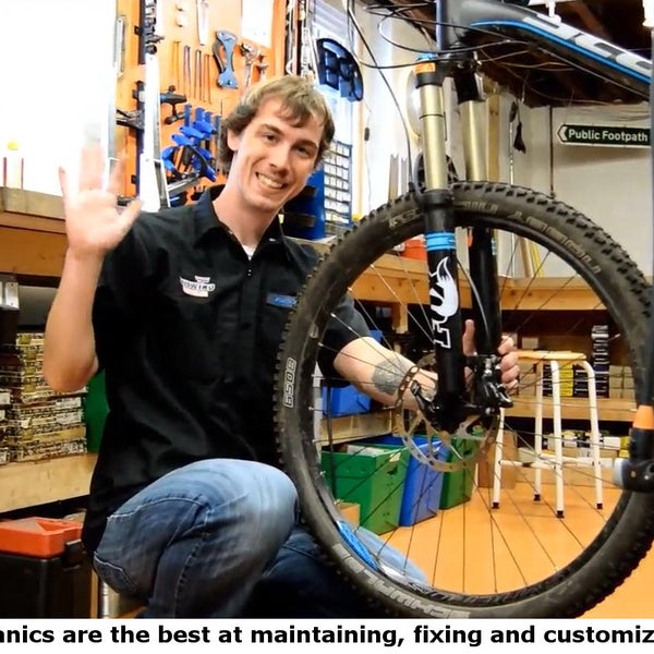 Tailwind Bicycles - Bicycle Store