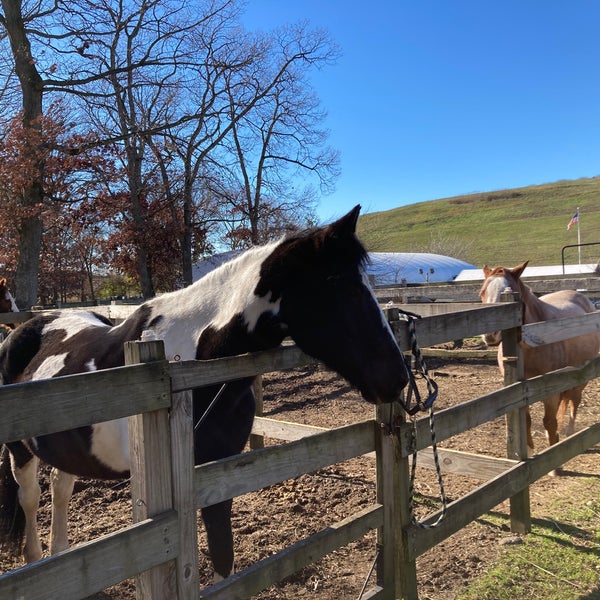 Old Bethpage Equestrian Center - 74 visitors