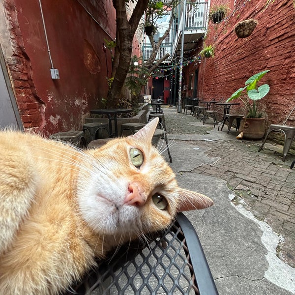 Fritzel's European Jazz Pub - French Quarter - New Orleans, LA