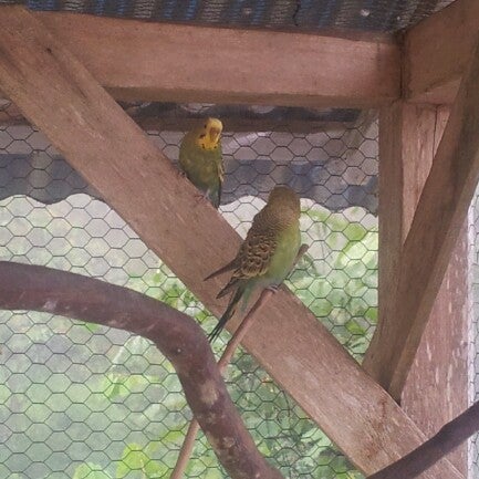 Parque Acuatico Bolivar - Swimming Pool