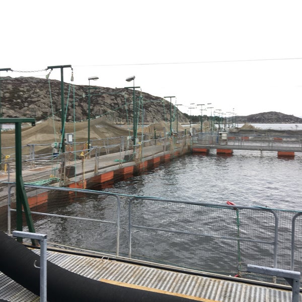 Brandasund - Harbor or Marina