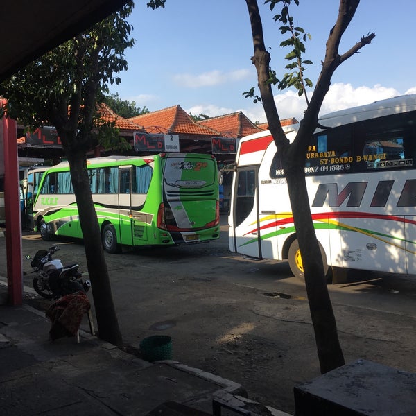 Terminal Bayuangga Probolinggo - Bus Station