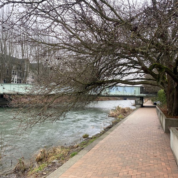 Cedar River Trail - Renton, WA