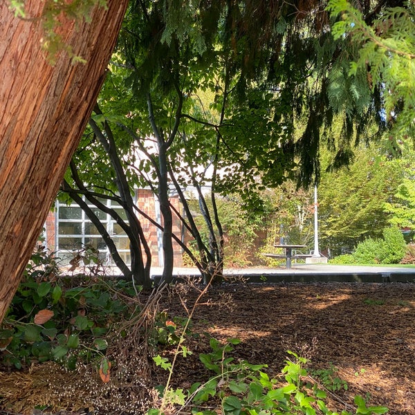 Madrona Playground - Madrona - 3 tips