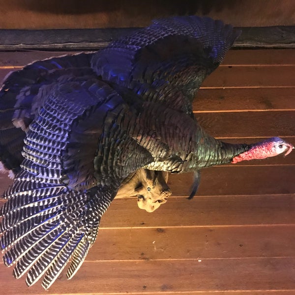 Rolling Log Tavern - Olde Town - Issaquah, WA