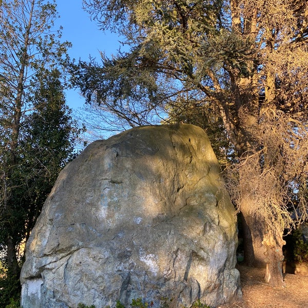 Wedgwood Rock - Wedgwood - Seattle, WA