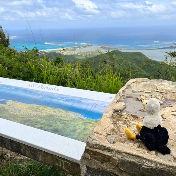 Pic Paradis - 1 tip from 181 visitors