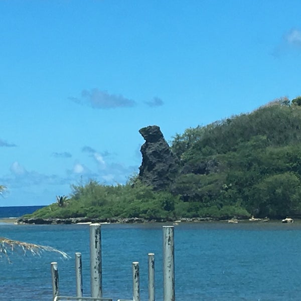 Bear Rock - 1 tip from 120 visitors