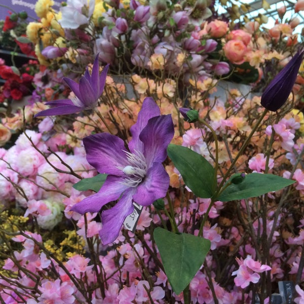 Intratuin - Malden, Gelderland