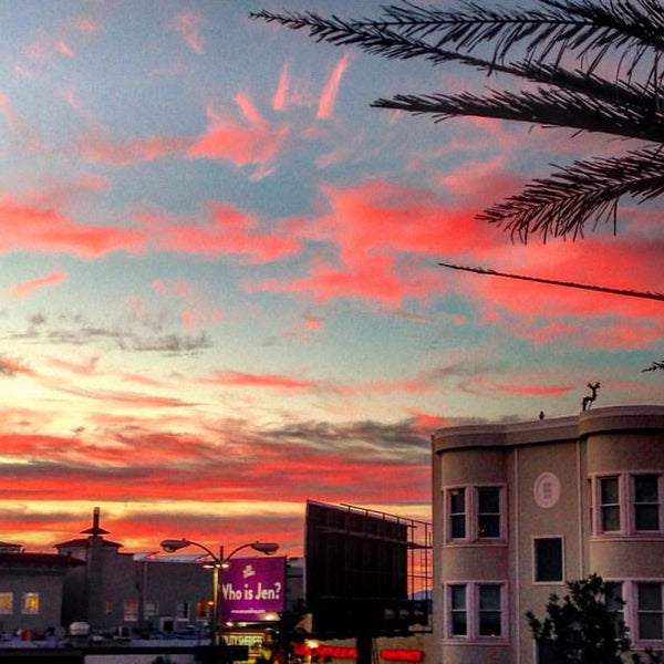 Photos at Cheese Plus - Cheese Shop in Polk Gulch