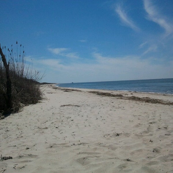 Higbee Beach - Cape May, NJ
