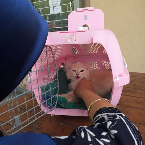 Photos at Gasing Veterinary Hospital - Veterinarian in Petaling Jaya