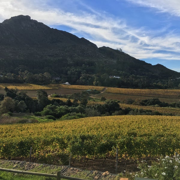 Constantia Glen