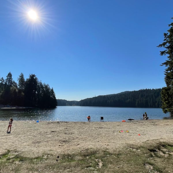 Are Dogs Allowed At White Pine Beach