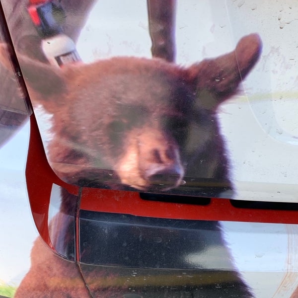 Pel' Meni - Downtown Juneau - Juneau, AK