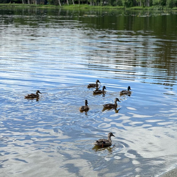 Goose Lake - University Area - Anchorage, AK