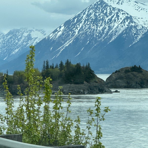 Beluga Point - 8 tips