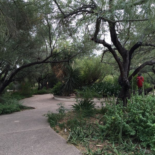 Photos at Tohono Chul Park - Tucson, AZ