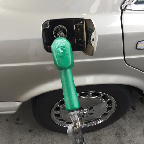 Rotten Robbie - 2 tips