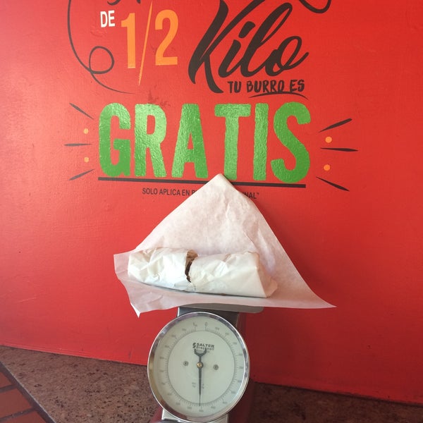 Burro Percheron - 6 tips