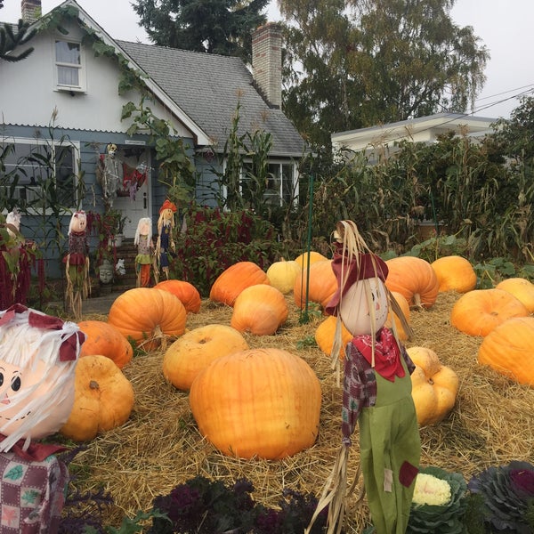 Pumpkin Patch - Magnolia - Magnolia - 1 tip from 22 visitors