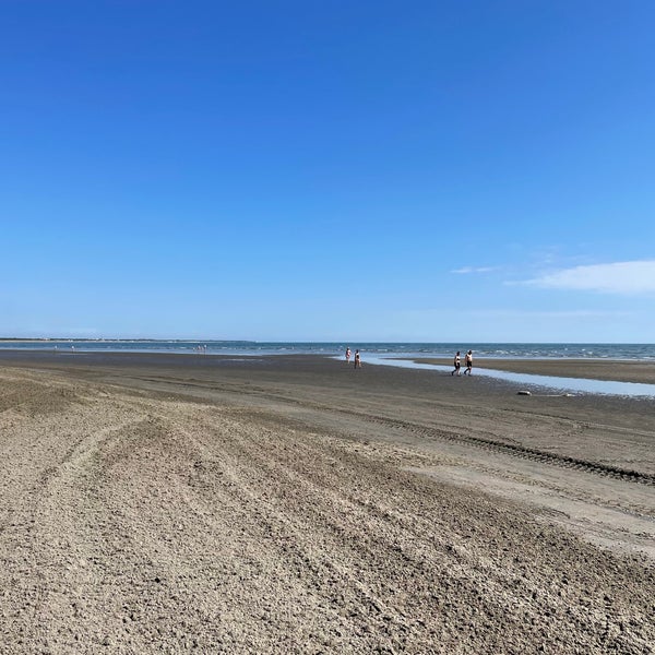 Spiaggia di Albarella - Beach