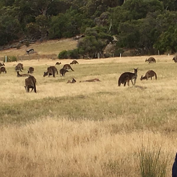 Australind - Neighborhood