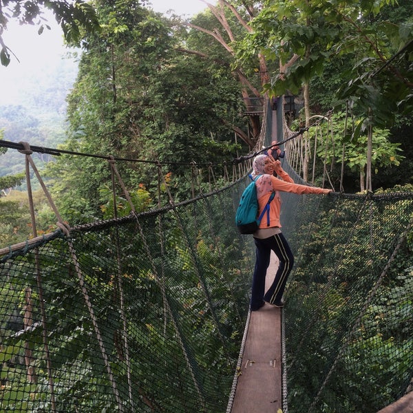 Canopy Walkway, FRIM