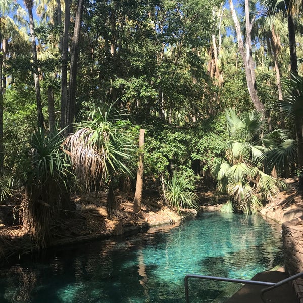 Mataranka Thermal Pool - Hot Spring in Mataranka