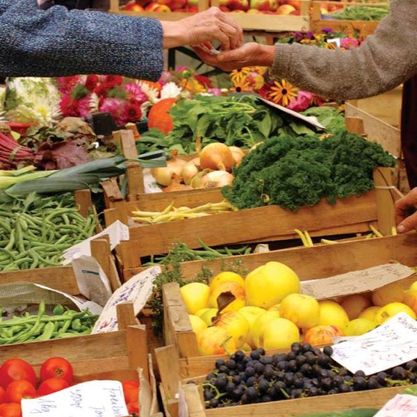 Valley View Community Food Bank - Sun City, AZ