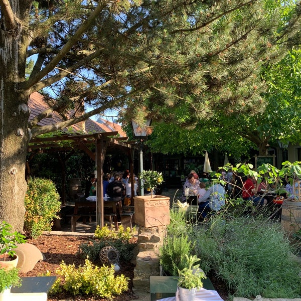 Heuriger Wieninger - Stammersdorf - Stammersdorfer Str. 78