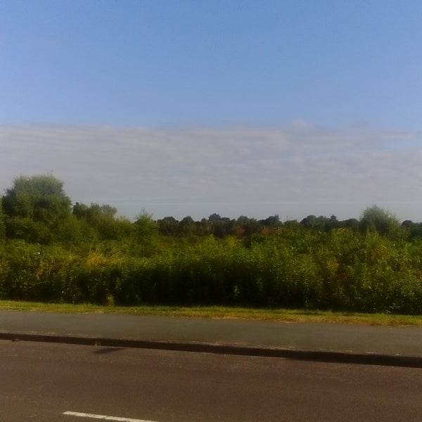 Turbary Common Nature Reserve - Nature Preserve