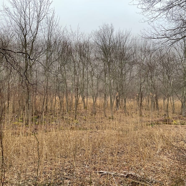 Nassau / Suffolk County Border - Border Crossing