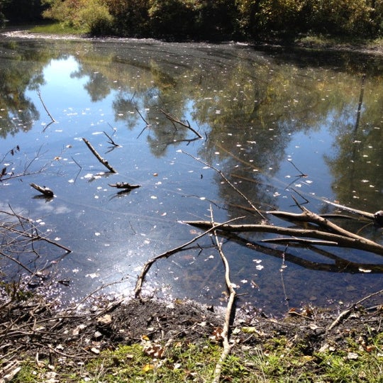 ForMar Nature Preserve & Arboretum - Park in Burton