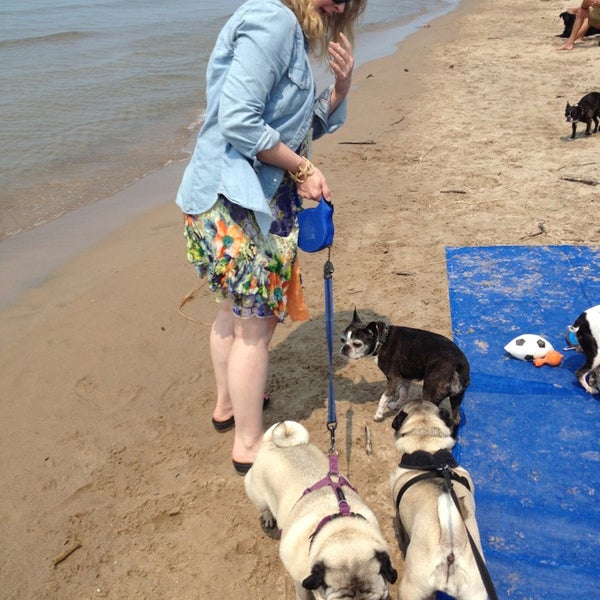 Pinery Provincial Park Dog Beach - Beach