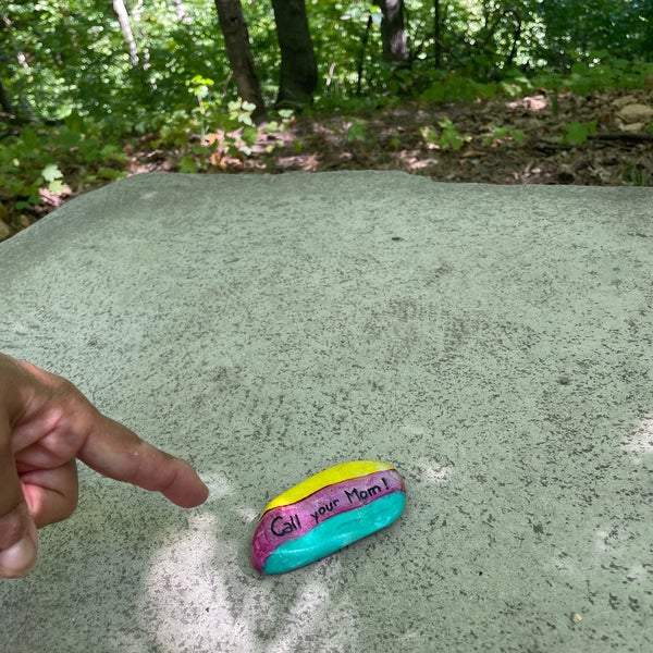 Camp Maplehurst - Kewadin, MI