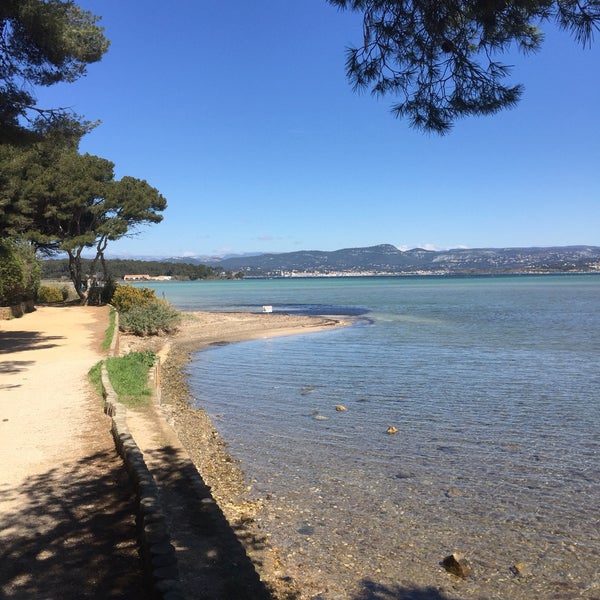 Île du Gaou - 4 tips from 218 visitors