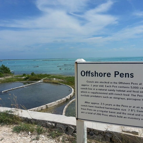 Caicos Conch Farm - Providenciales, Turks and Caicos