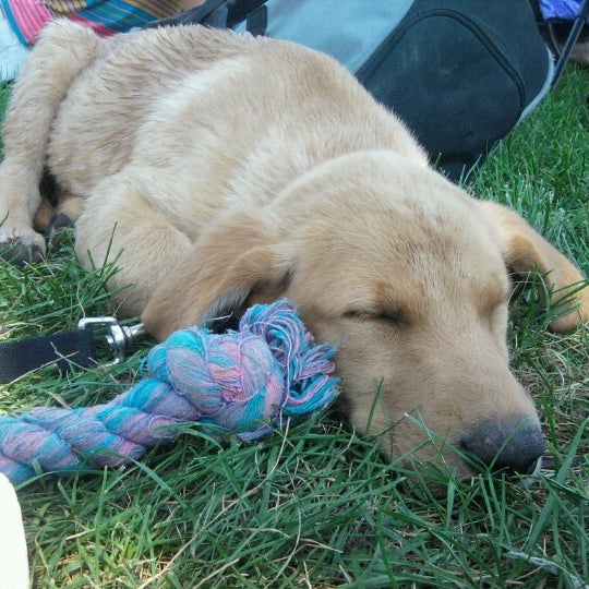 Photos at Lac Lavon Park - Burnsville, MN