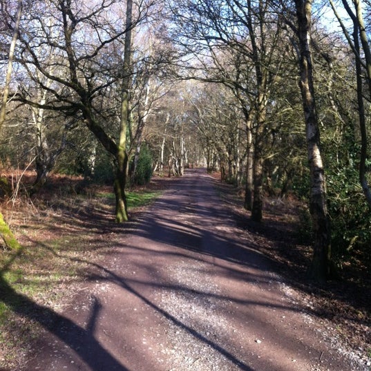 Bucklebury Common - Landmarks and Outdoors