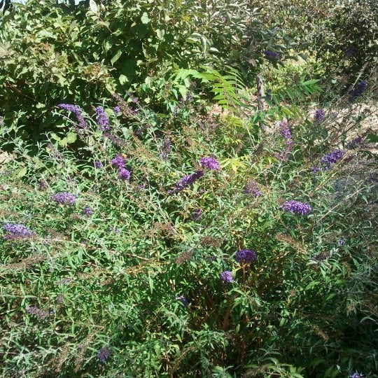 Photos at OPPD Arboretum - North Central Omaha - Omaha, NE