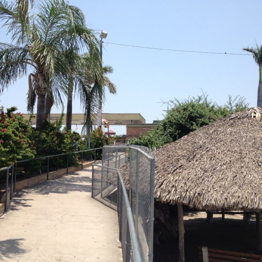 Progreso International Bridge - 8 tips from 798 visitors