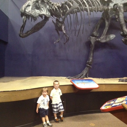 Burpee Museum Of Natural History - History Museum in Rockford