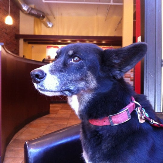 Photos at Java Moose Coffee House - Saint John, NB