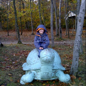 Great Turtle Park - 2601 Crest View Dr