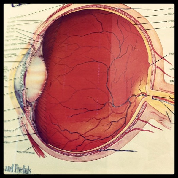 Eyemasters - Sugar House - Salt Lake City, UT