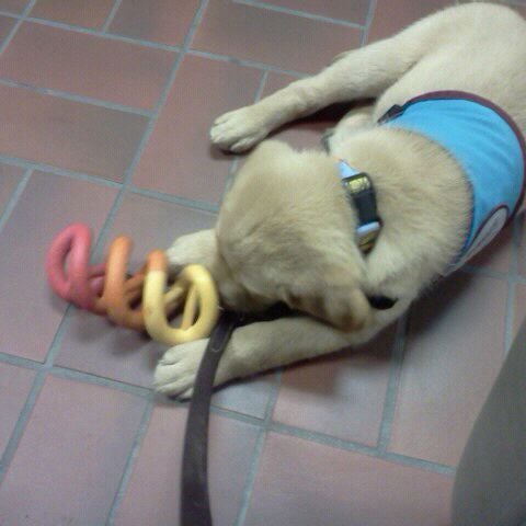 Photos at LCC Gannon Building - College Academic Building in Lansing