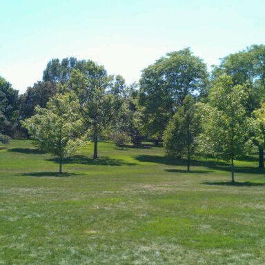 Edora Park - 4 tips from 378 visitors