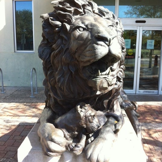 Photos at Windsor Park Branch, Austin Public Library - Windsor Park ...