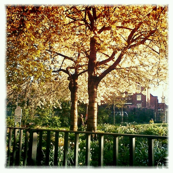 Waterloo Millennium Green - Park